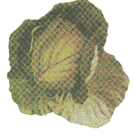 Kapostas